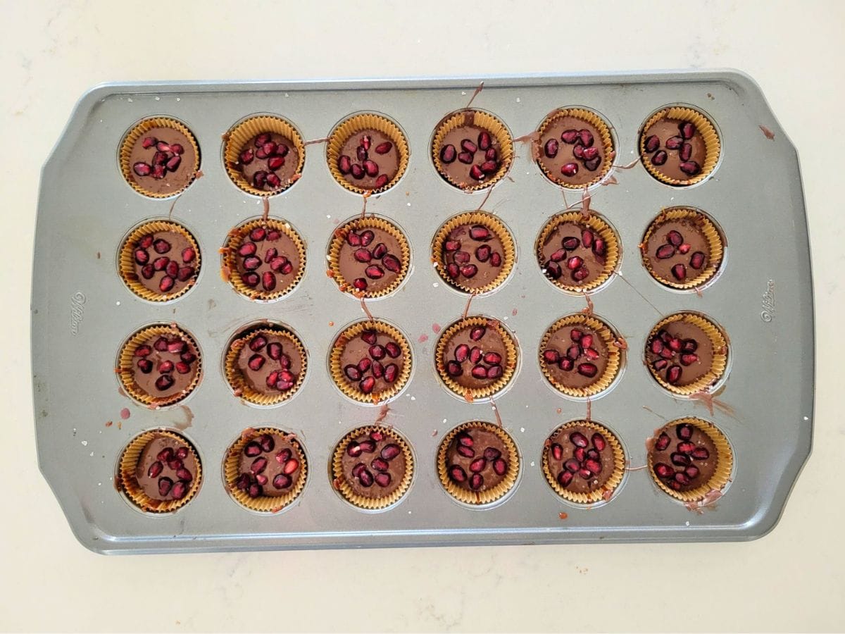Dark Chocolate Pomegranate Coins - A No-Bake Dessert Made Easy!