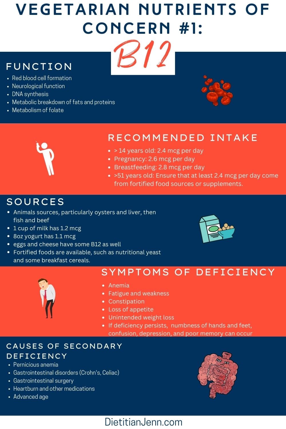 Vitamin B12: Vegetarian Nutrient of Concern #1 ⋆ Dietitian Jenn