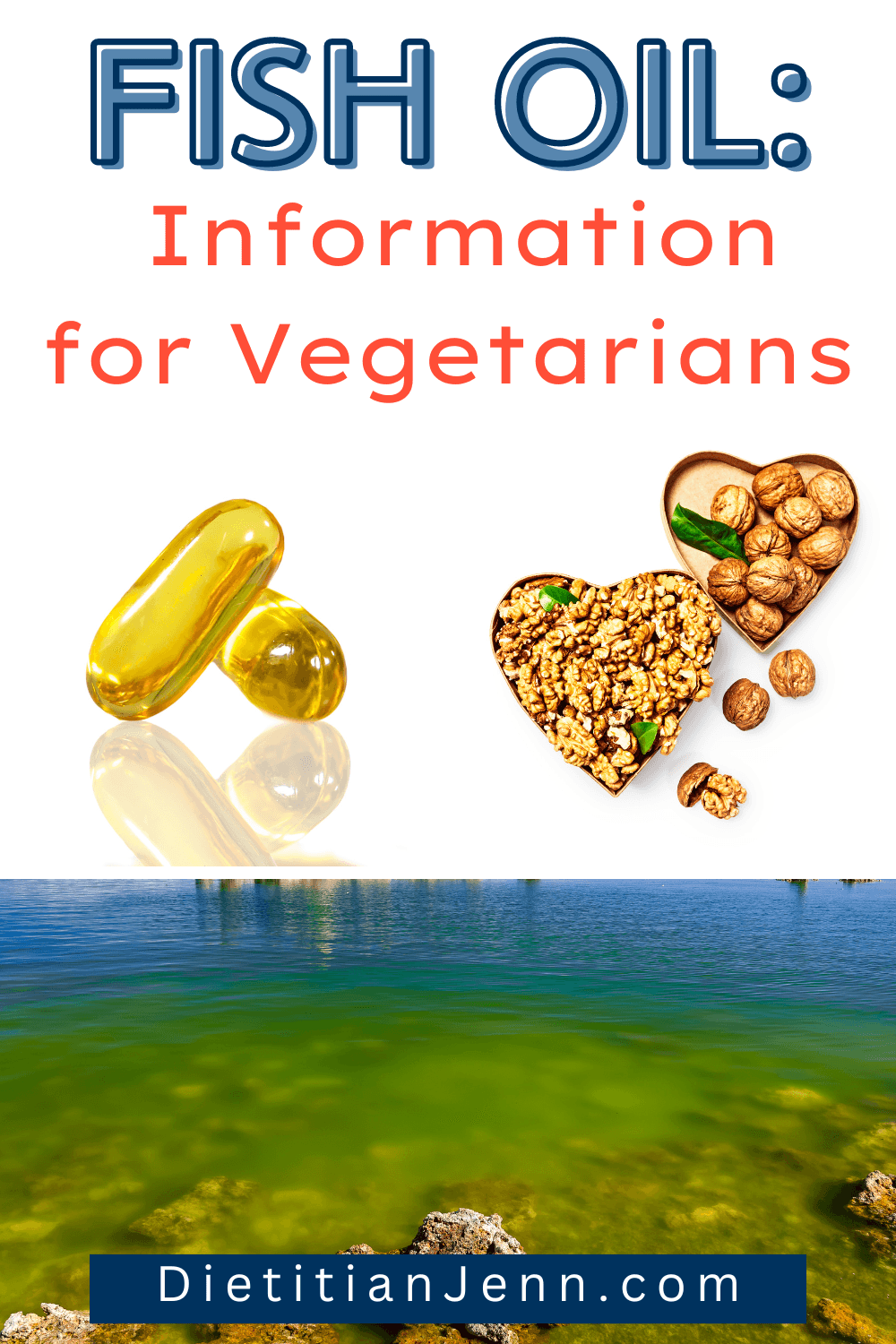 Vegetarian Nutrients of Concern #6: Fish Oil ⋆ Dietitian Jenn