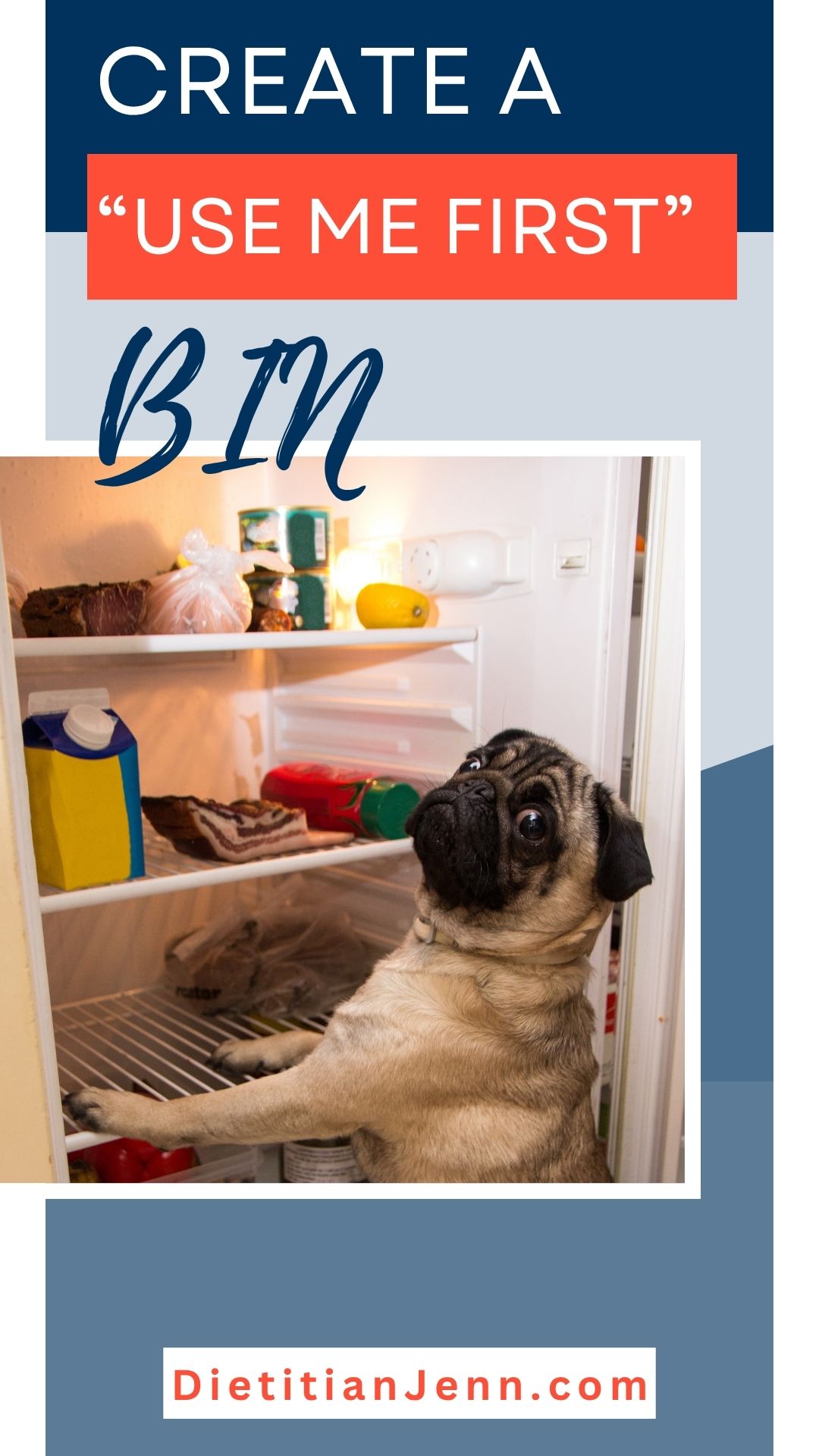 ⋆ Top Tips for Reducing Food Waste in Your Kitchen ⋆ Dietitian Jenn ⋆